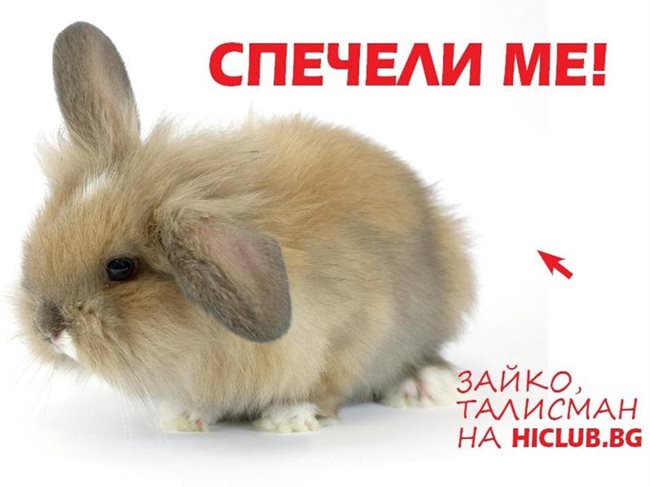 Аз съм Зайко. Спечели ме! | Хай Клуб