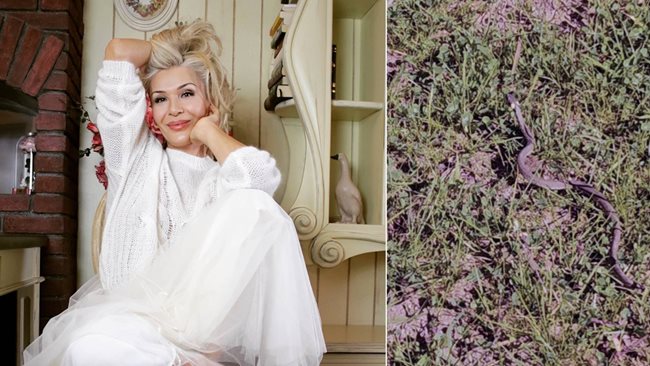 Змии нападнаха Гала в имението ѝ край язовир Искър Хай Клуб